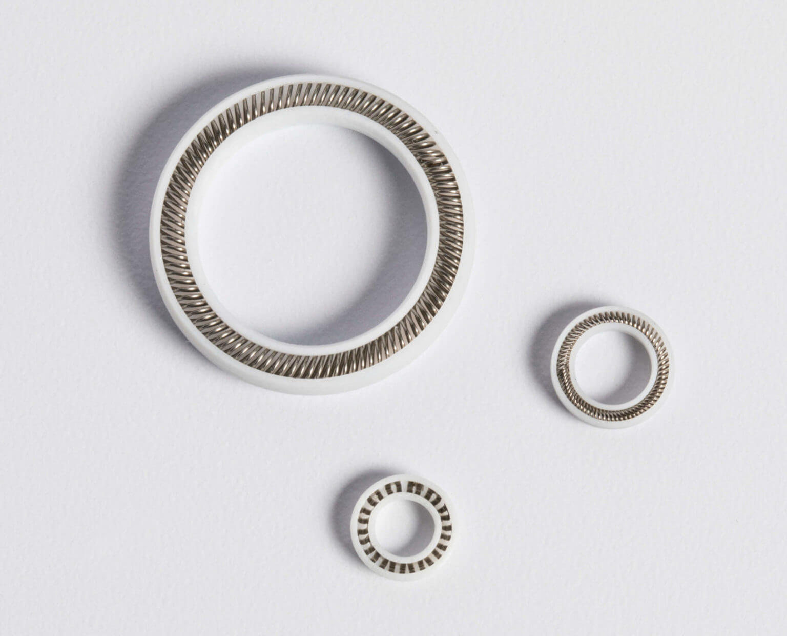 Polymer Seals and Bearings for the Semiconductor Industry